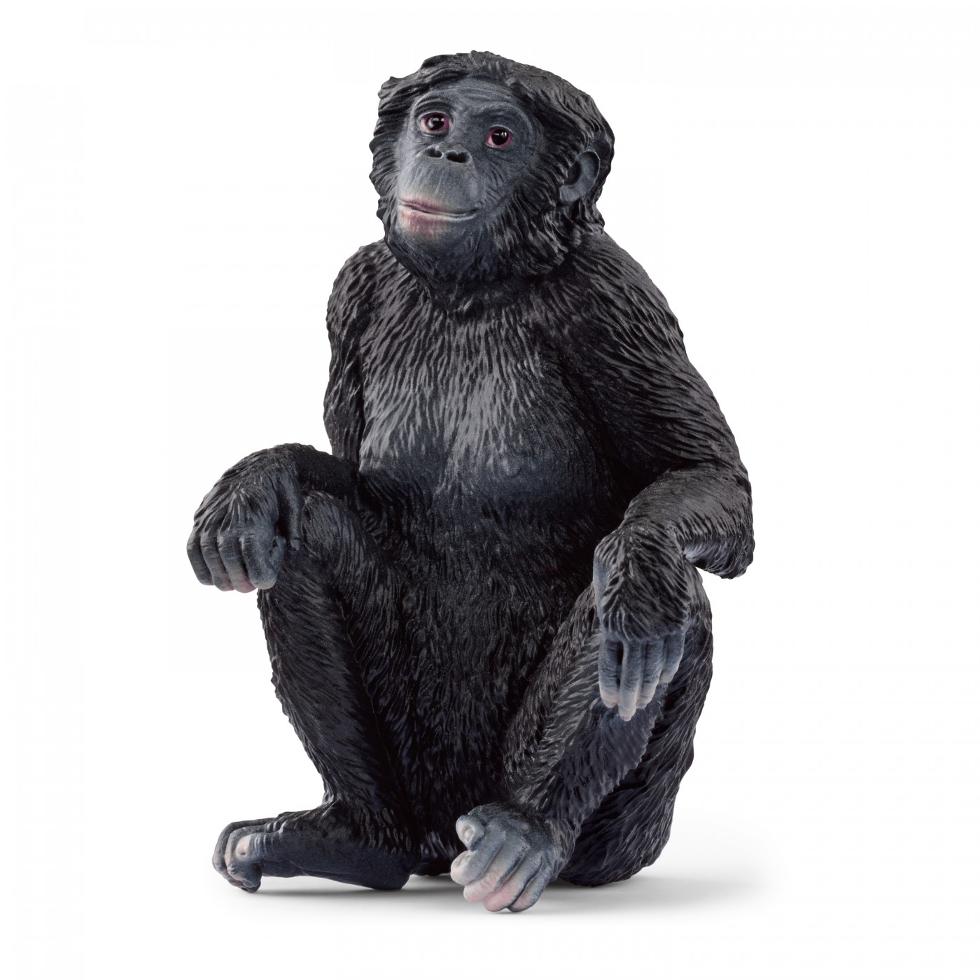 Schleich WildLife: Schleich Bonobo Female 14875