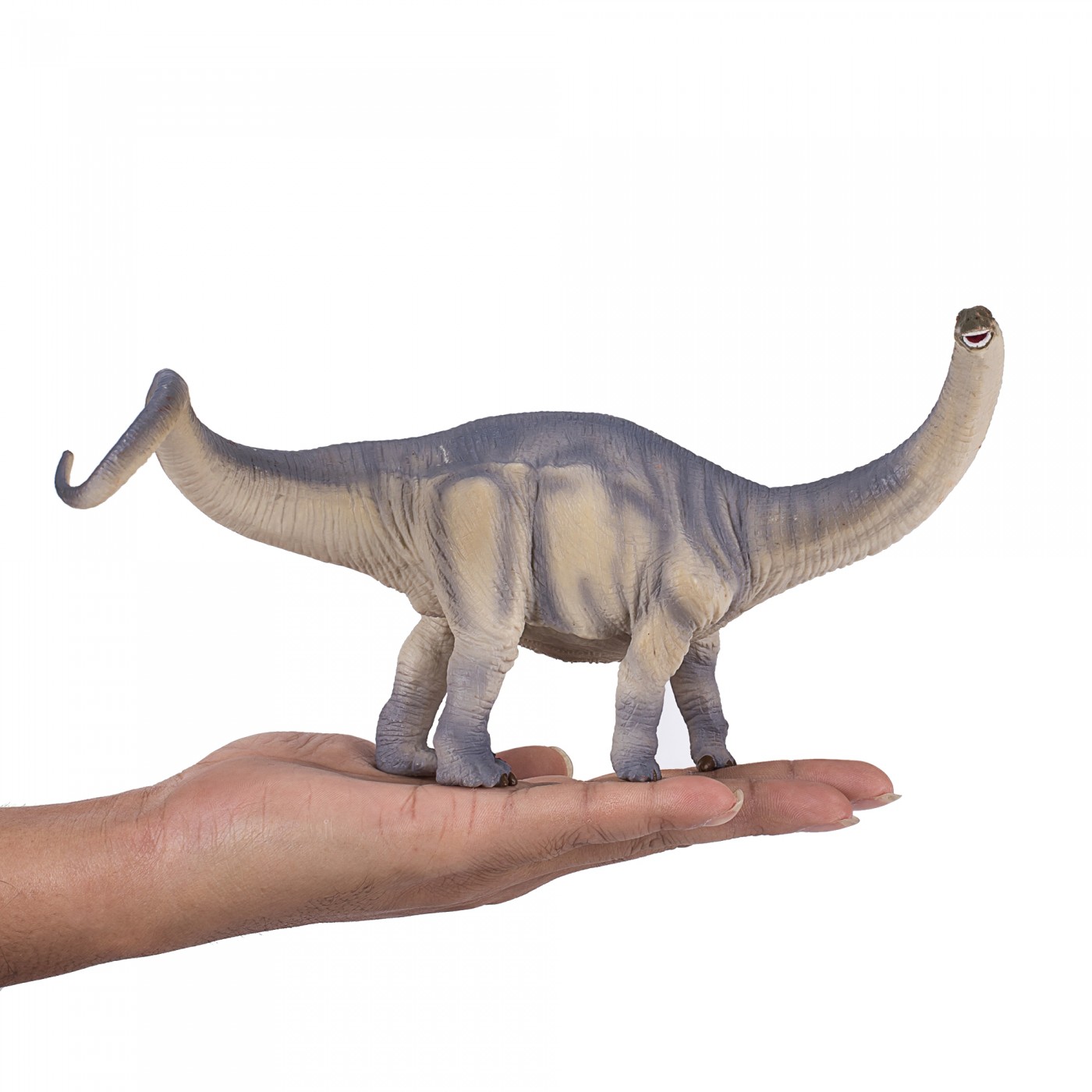 Animal Planet Brontosaurus dino 387384