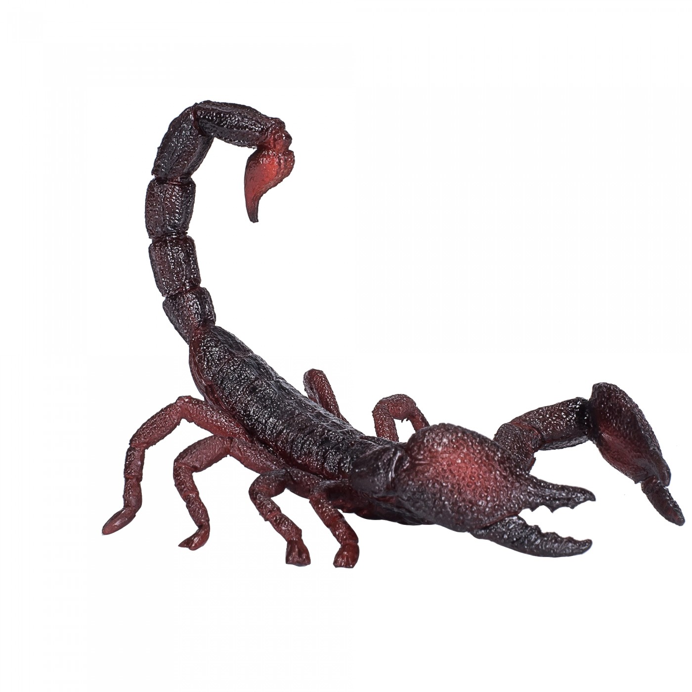 Animal Planet Emperor Scorpion 387133