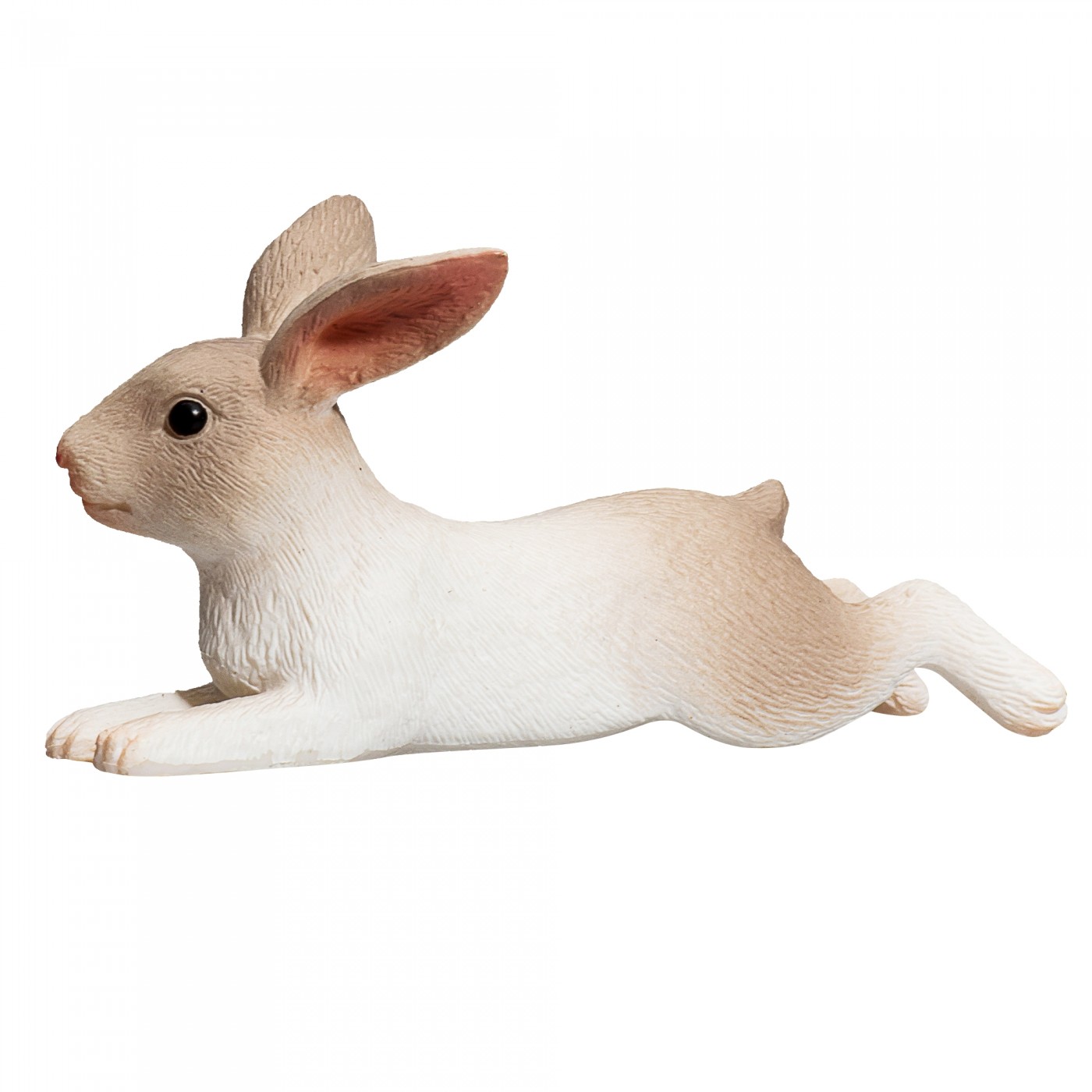 Animal Planet Rabbit lying 387142
