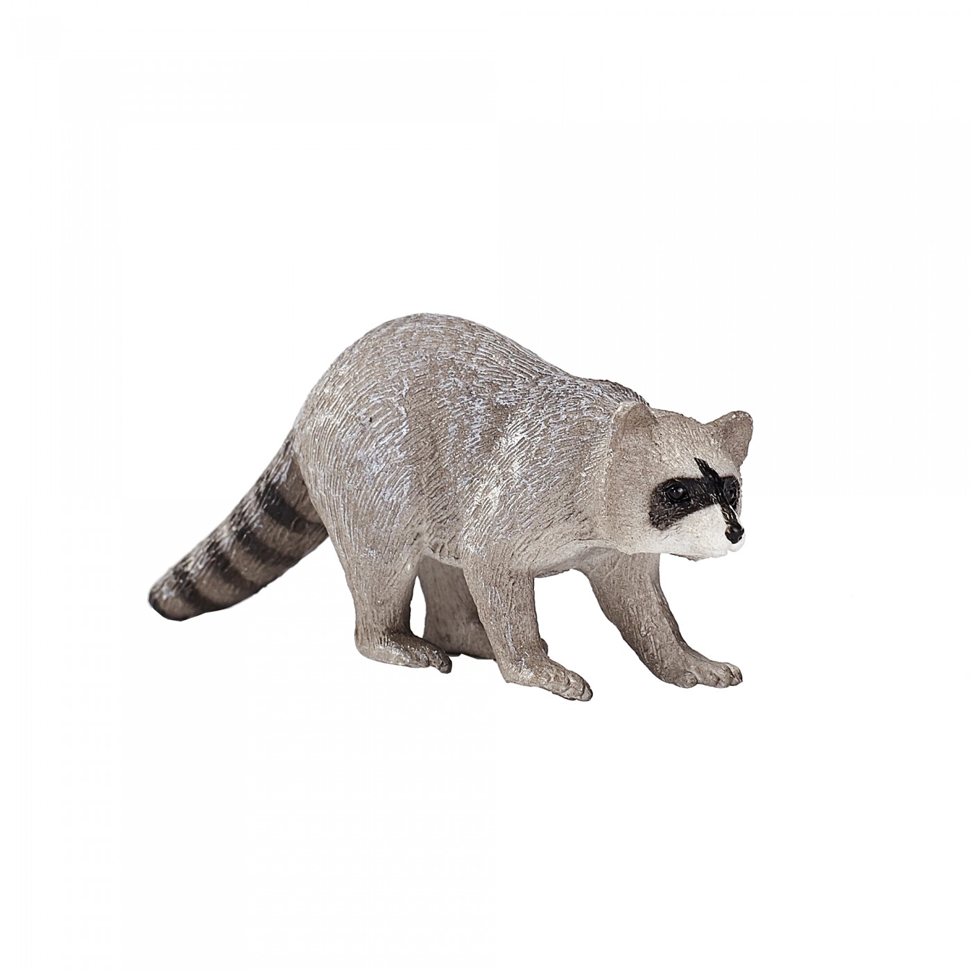 Animal Planet Raccoon 387159