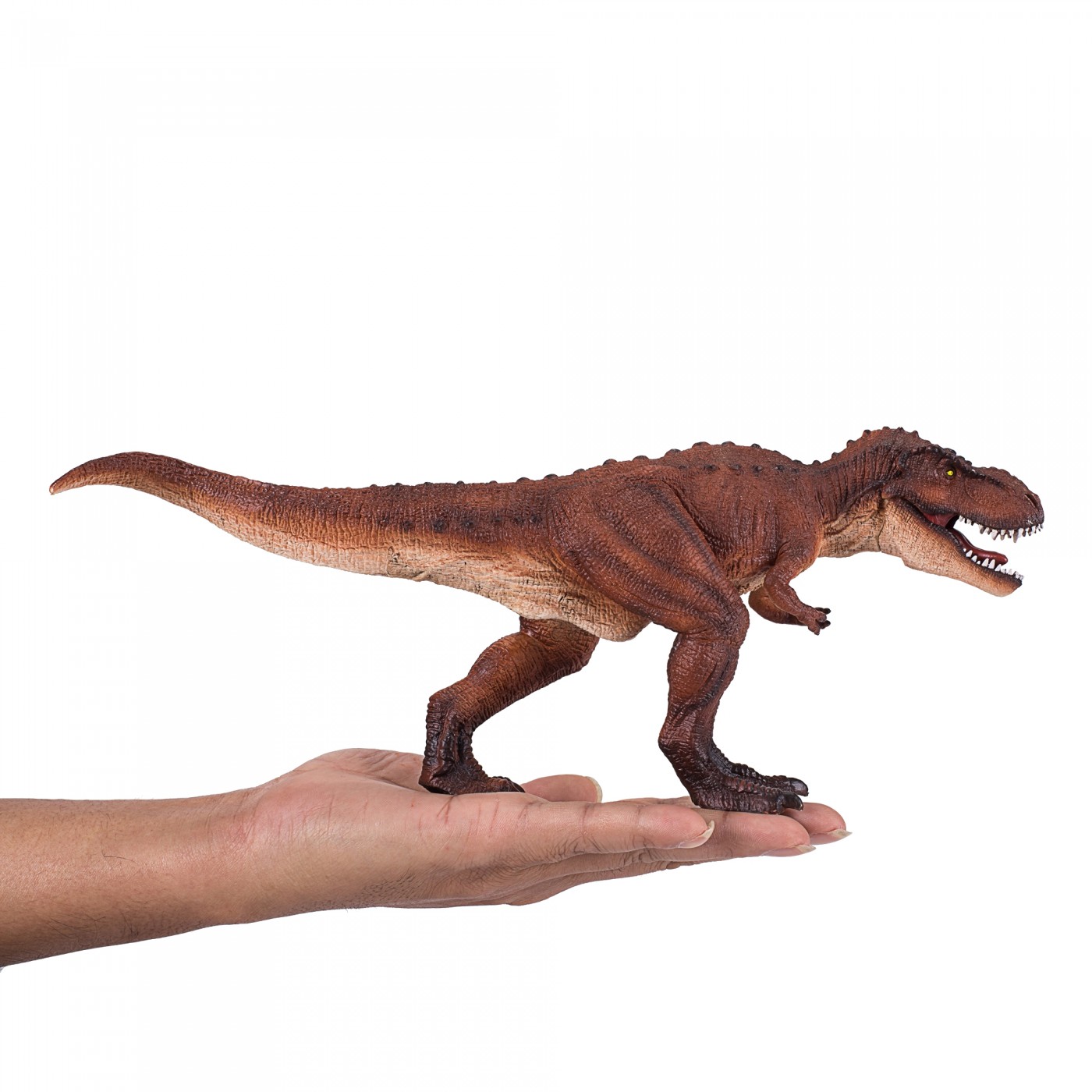 Animal Planet T-Rex with movable jaw 387379