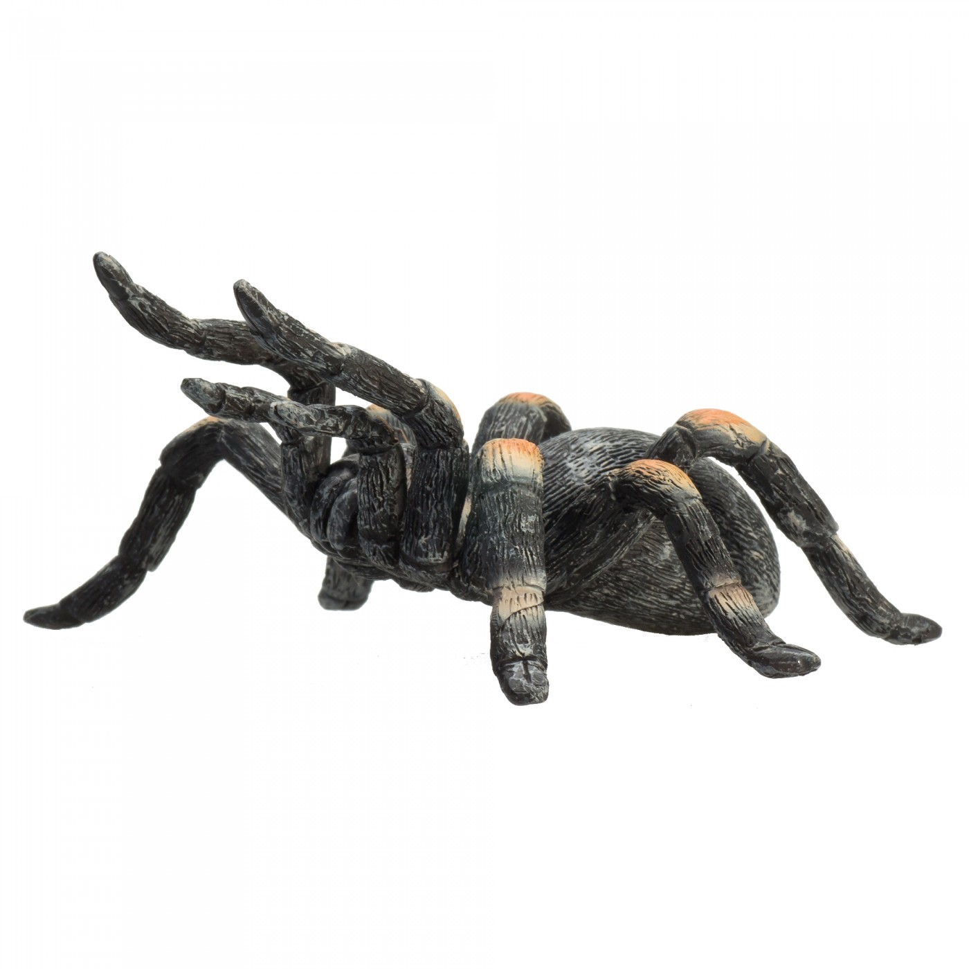 Animal Planet Tarantula spider 387213