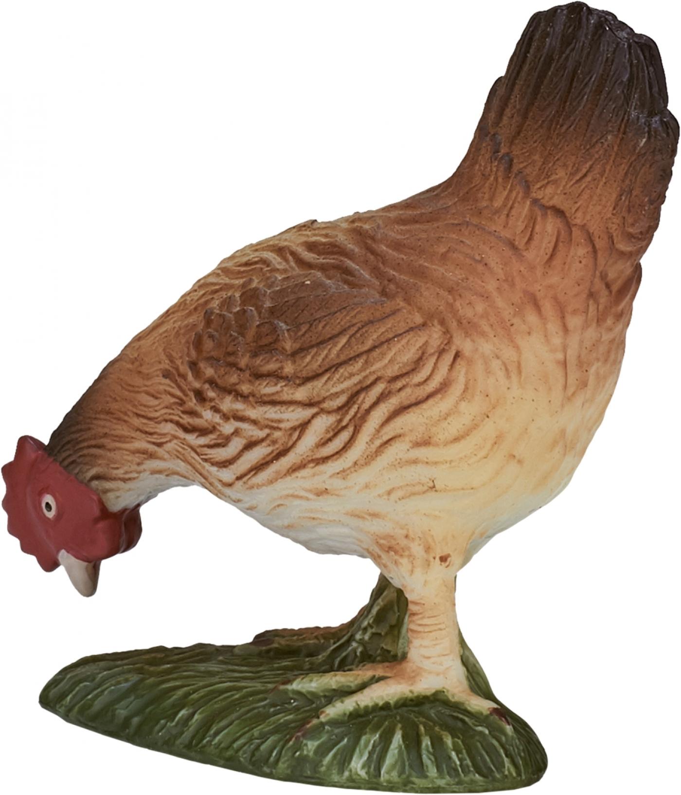 Animal Planet hen eating 387053