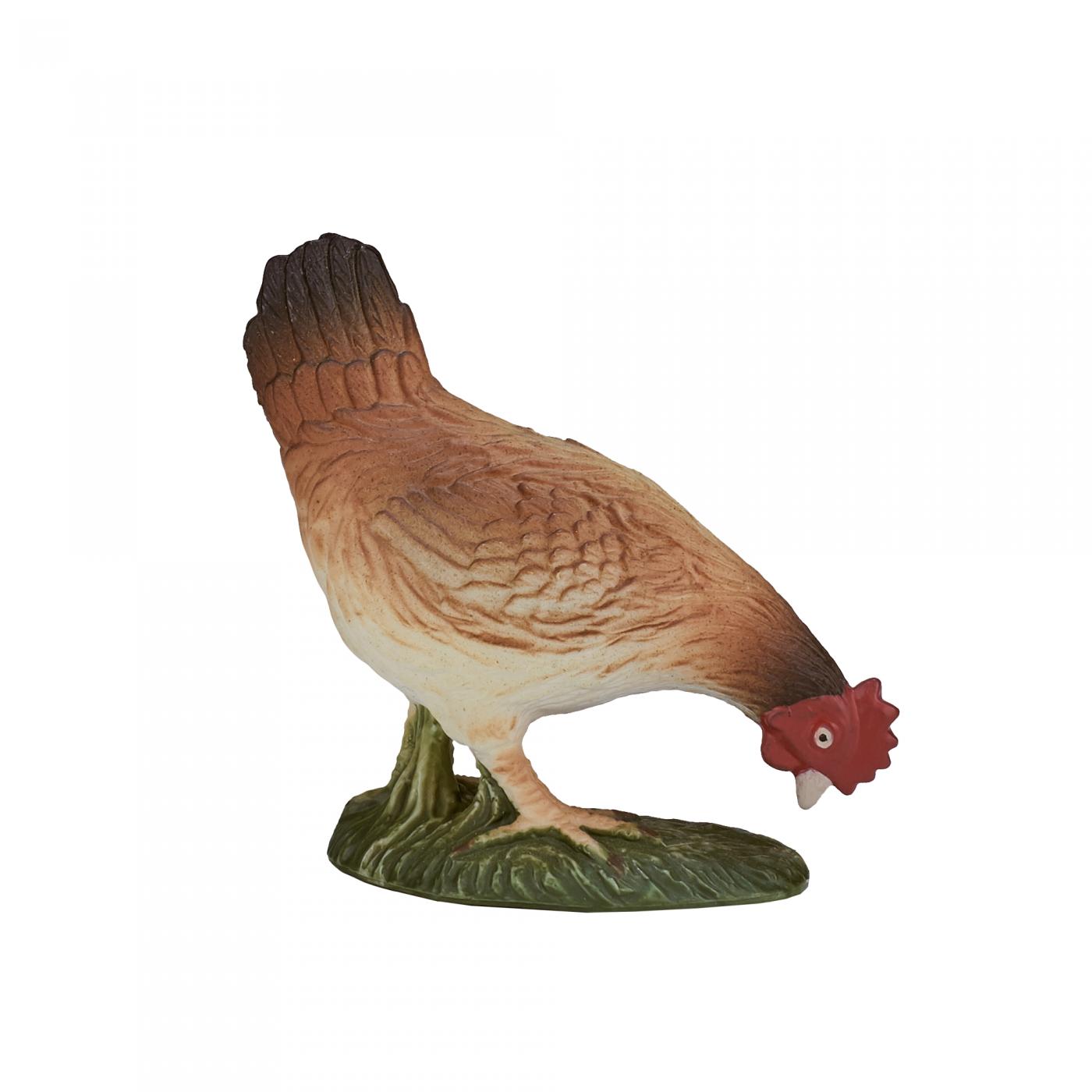 Animal Planet hen eating 387053