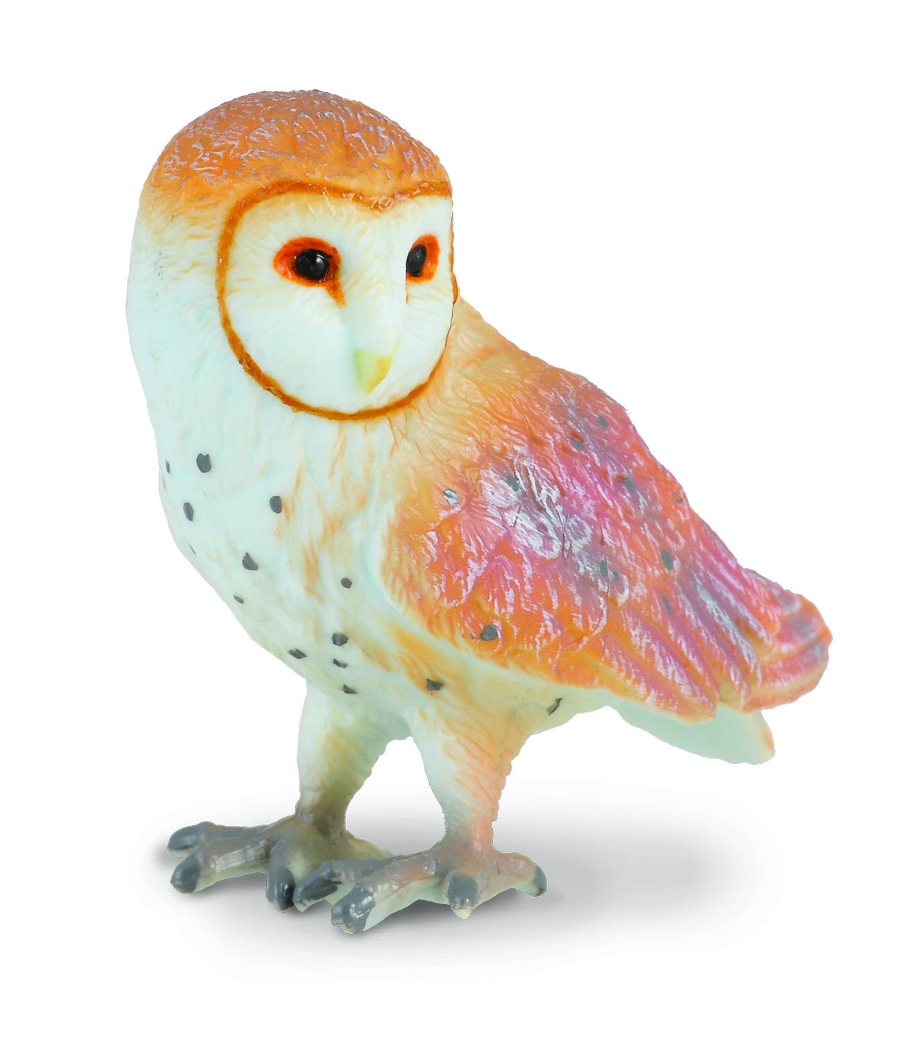 CollectA 88003 Barn Owl - animal figures at spielzeug-guenstig.de