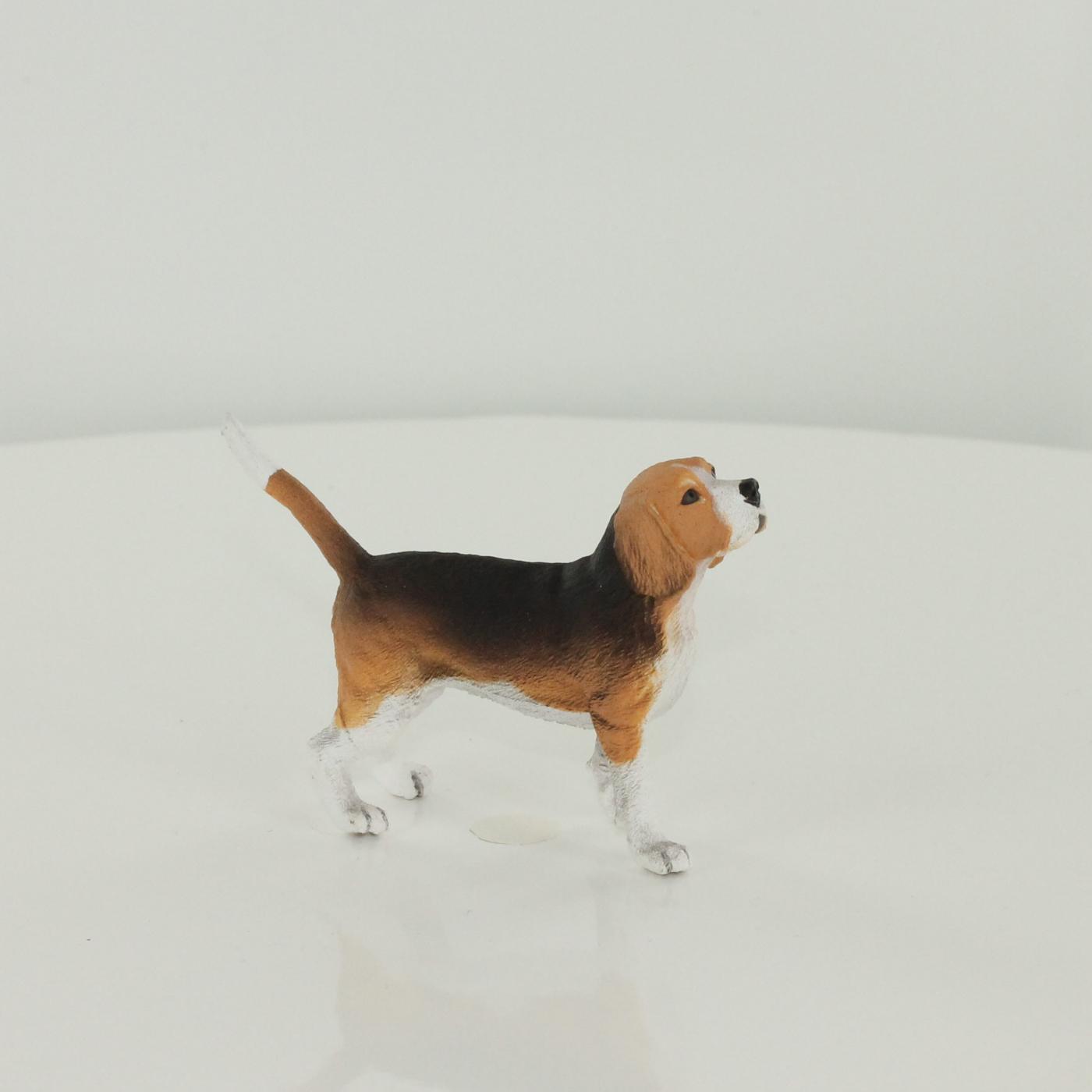 CollectA Dogs Figurines: CollectA Beagle dog 88935