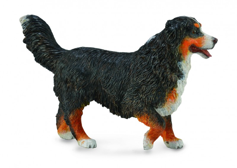 CollectA Dogs: CollectA Bernese Mountain Dog 88801