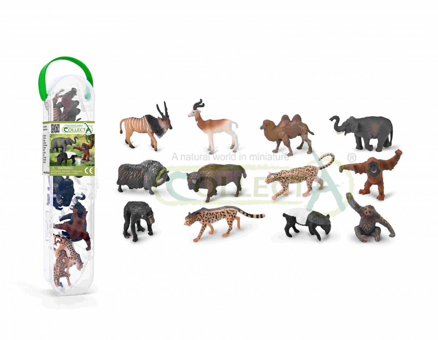 CollectA Wilde Tiere: CollectA CollectA Box mit Mini Wildleben - Serie ...