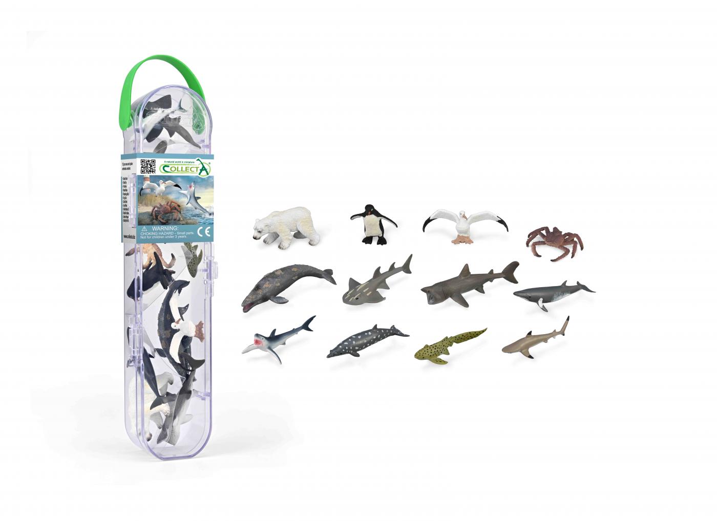 CollectA Sea Life Figurines: CollectA CollectA box with mini sea ...
