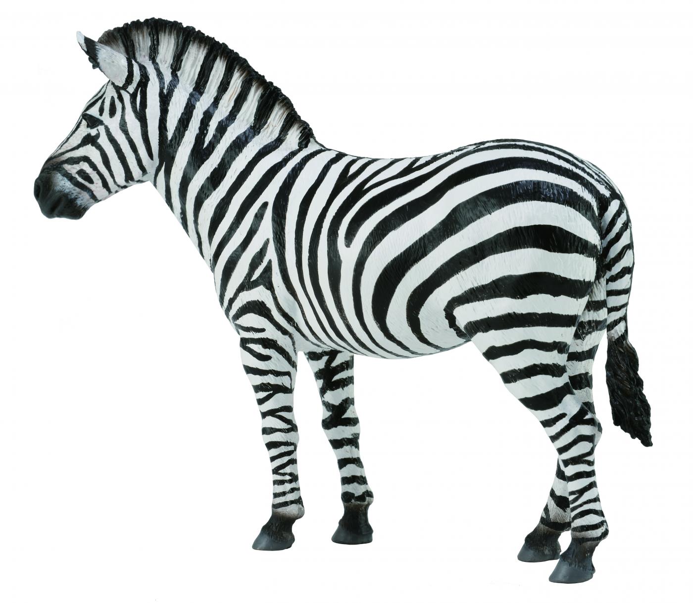 CollectA Wildlife: CollectA Common Zebra 88830