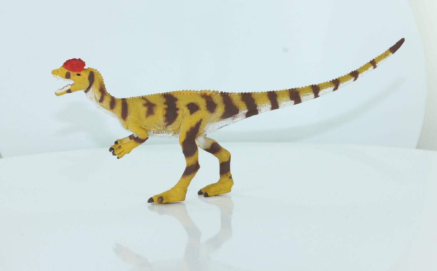 CollectA Prehistoric Life Deluxe Scale: CollectA Dilophosaurus dino 88923