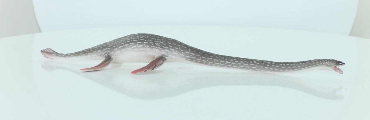 CollectA Urzeit: CollectA Elasmosaurus 88922