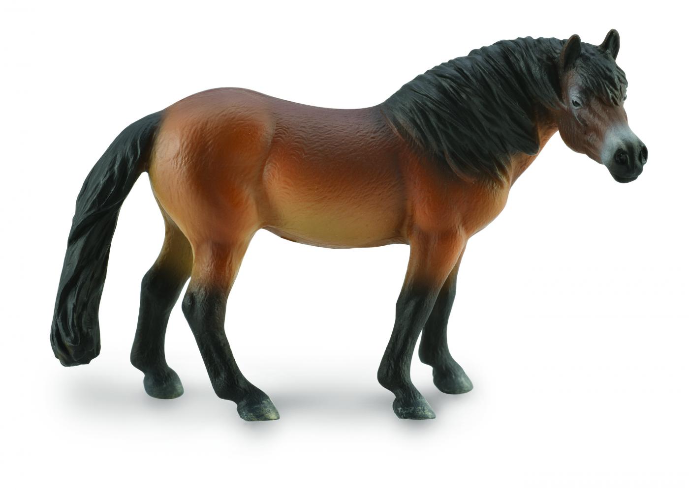 CollectA Horses: CollectA Exmoor Pony Stallion 88873