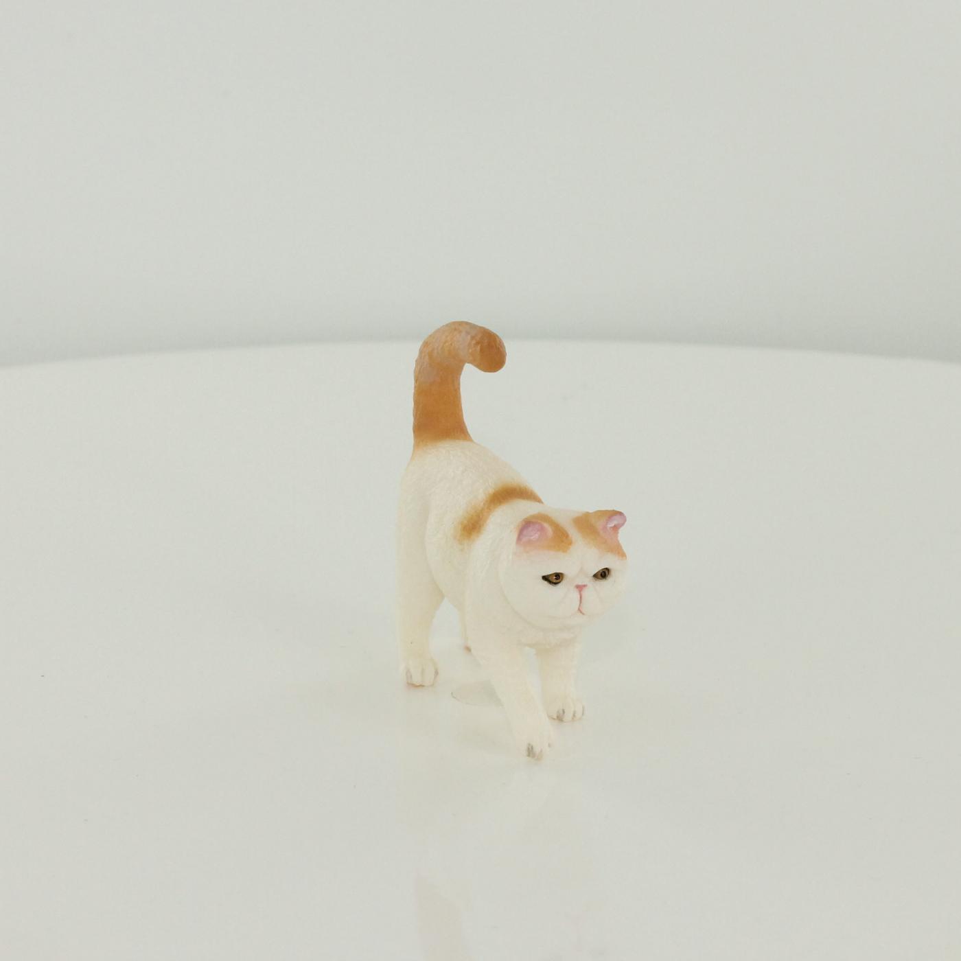 CollectA Cats Figurines: CollectA Exotic Shorthair 88937
