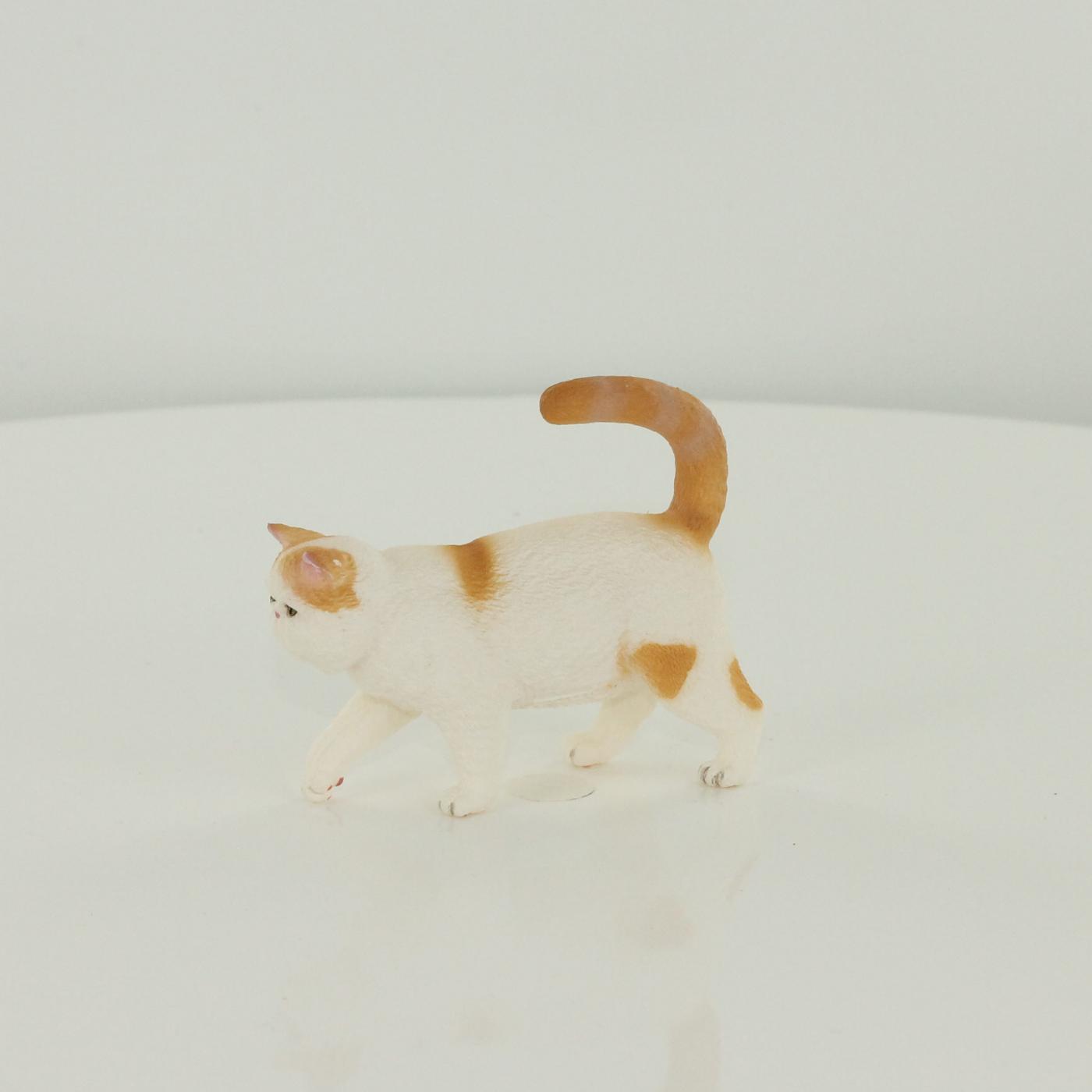 CollectA Cats Figurines: CollectA Exotic Shorthair 88937