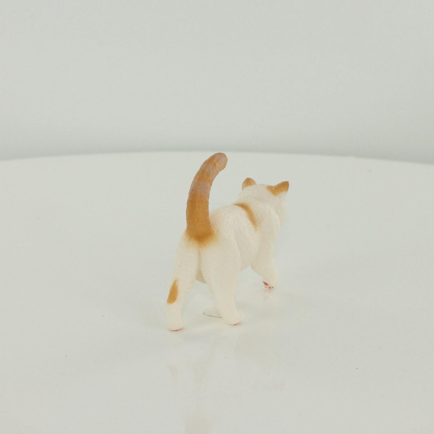 CollectA Cats Figurines: CollectA Exotic Shorthair 88937