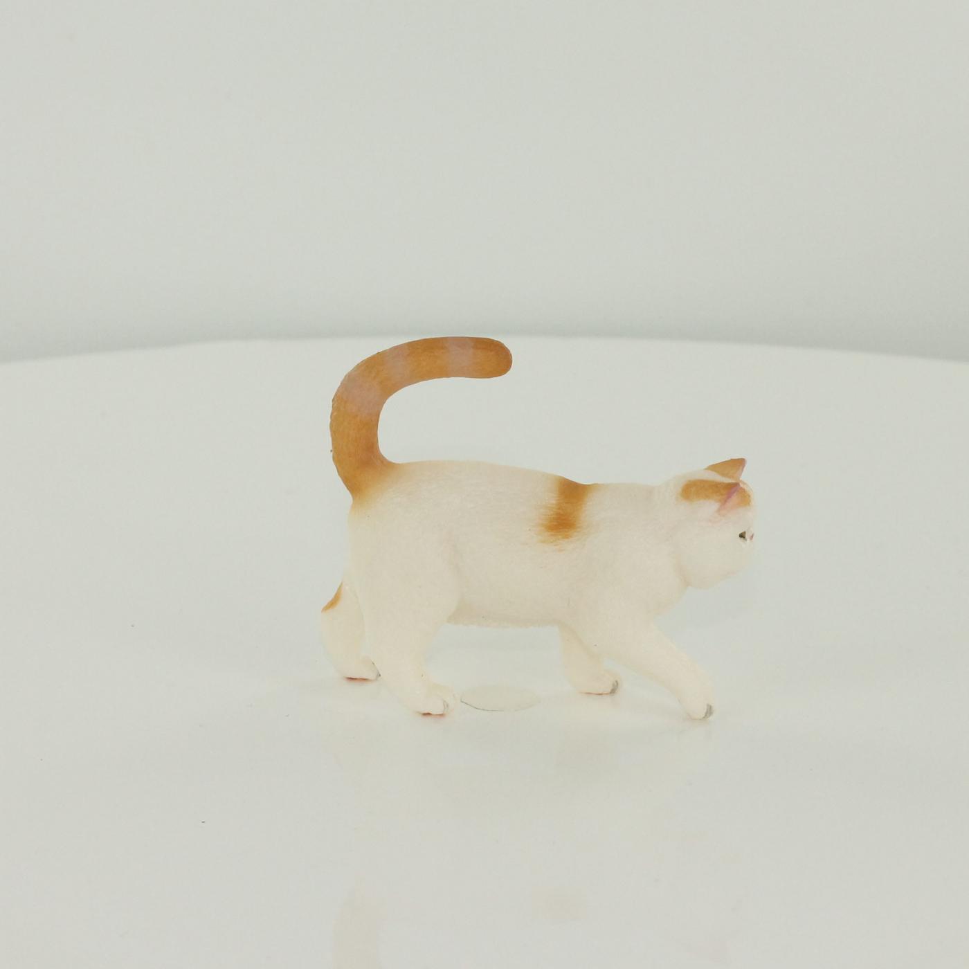 CollectA Cats Figurines: CollectA Exotic Shorthair 88937
