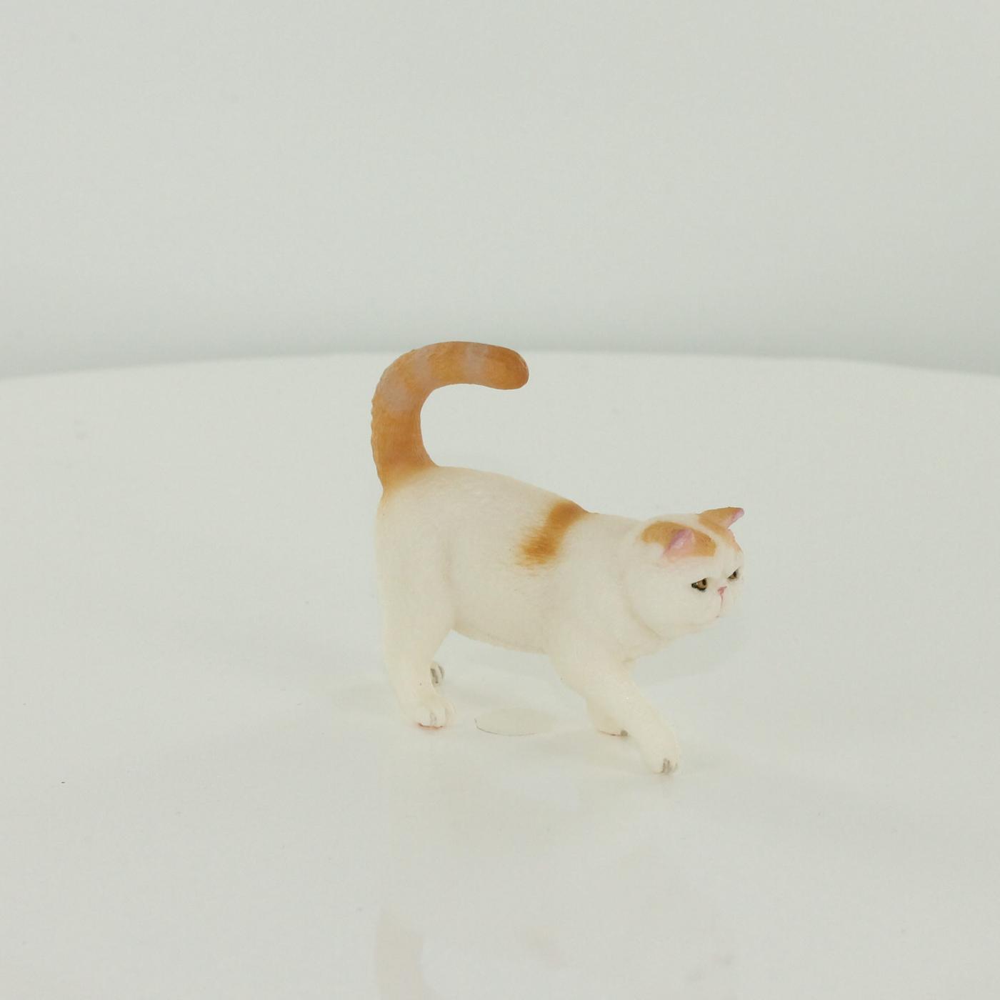 CollectA Cats Figurines: CollectA Exotic Shorthair 88937
