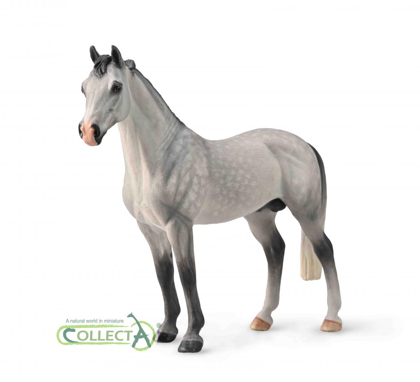 CollectA Horse Collection: CollectA Hanoverian Stallion Dapple Grey 88957