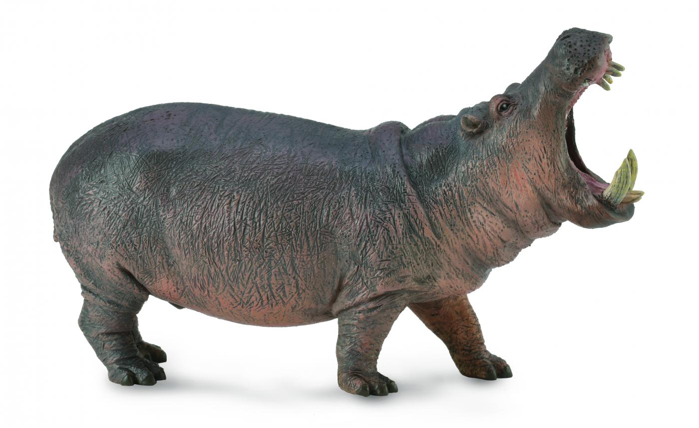 CollectA Wildlife: CollectA Hippopotamus 88833