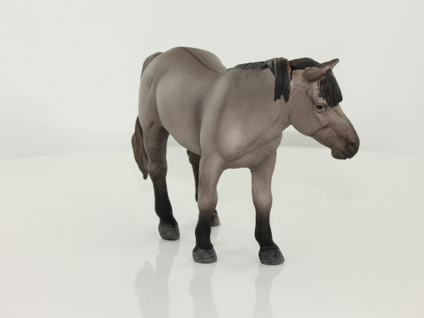 CollectA Horse Collection: CollectA Konik Mare Blue Dun 88926