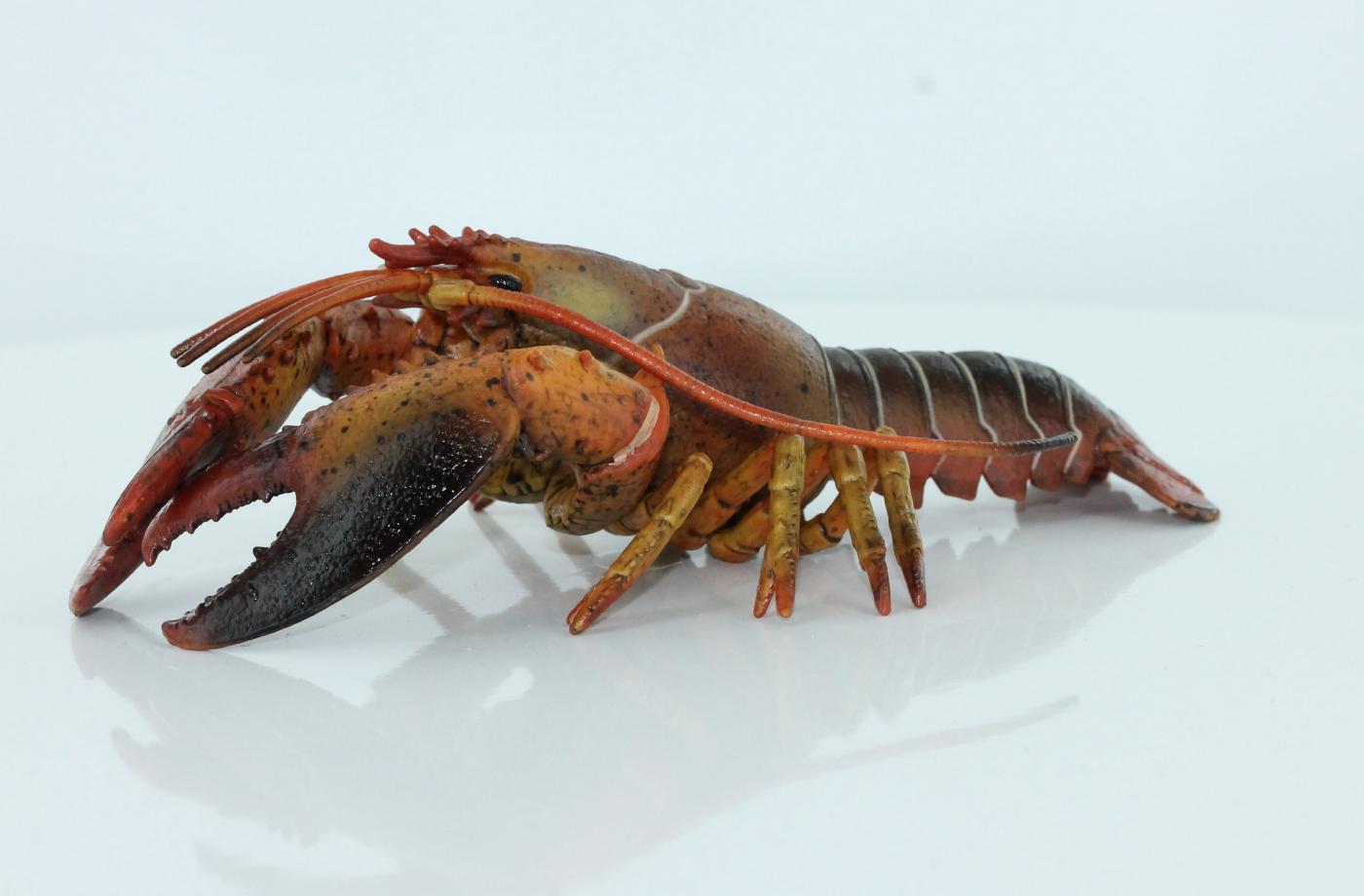 CollectA Sea Life Figurines: CollectA Lobster 88920