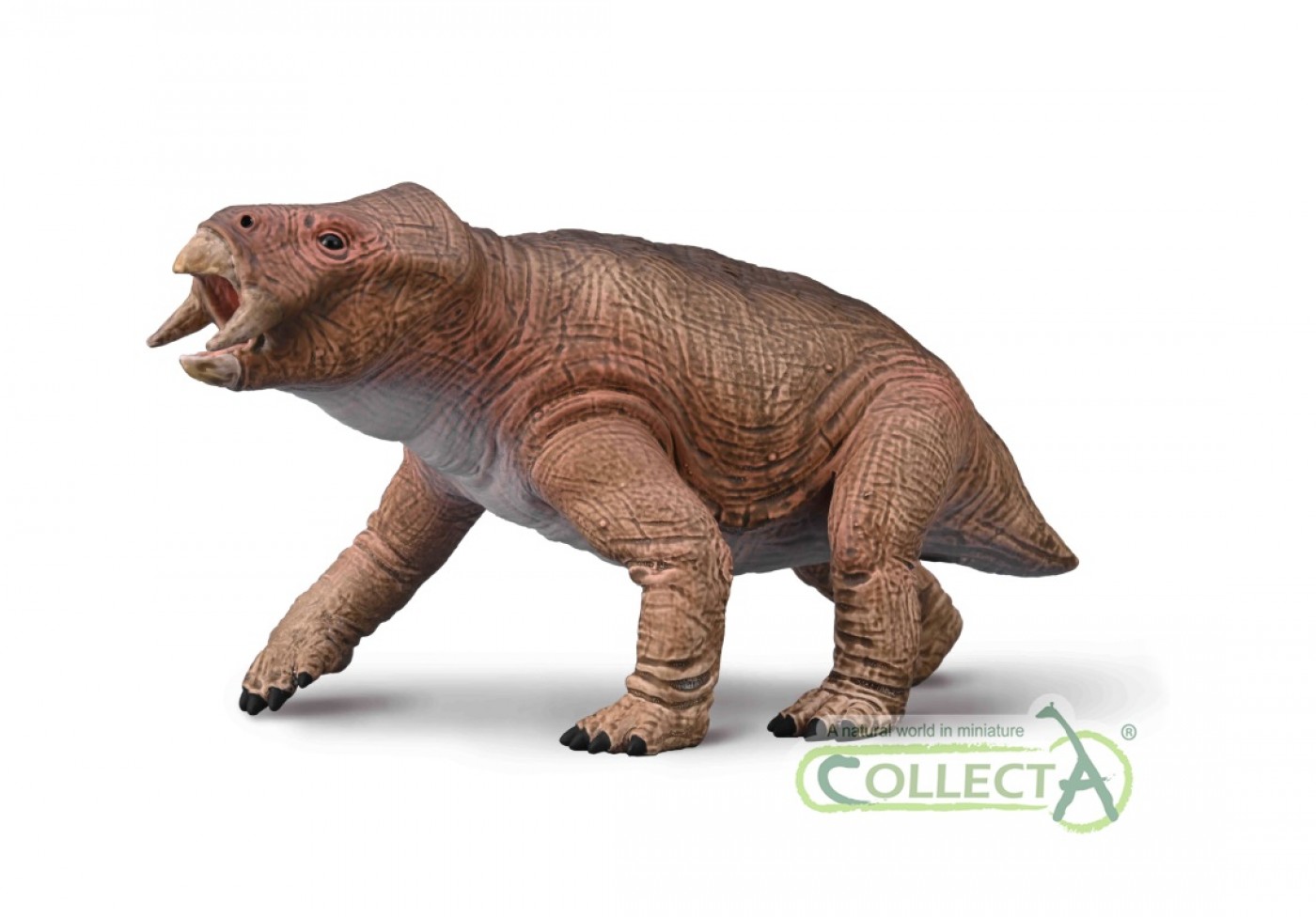 CollectA Prehistoric Life: CollectA Placerias - Deluxe 1:20 Scale 80024
