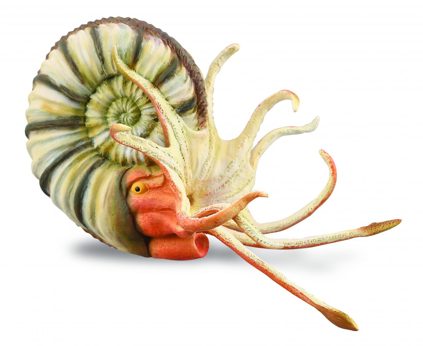 CollectA Prehistoric: CollectA Pleuroceras Ammonite 88902