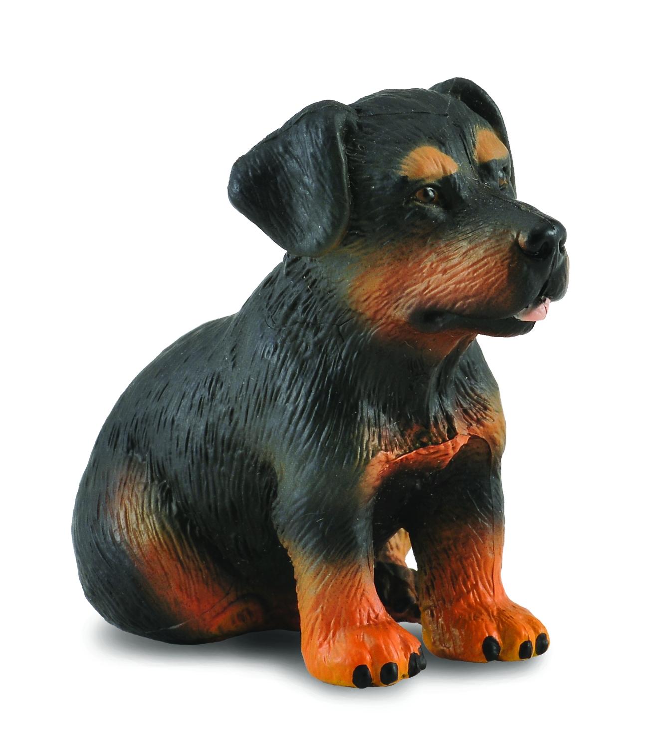 CollectA 88190 Rottweiler Puppy - animal figures at spielzeug-guenstig.de