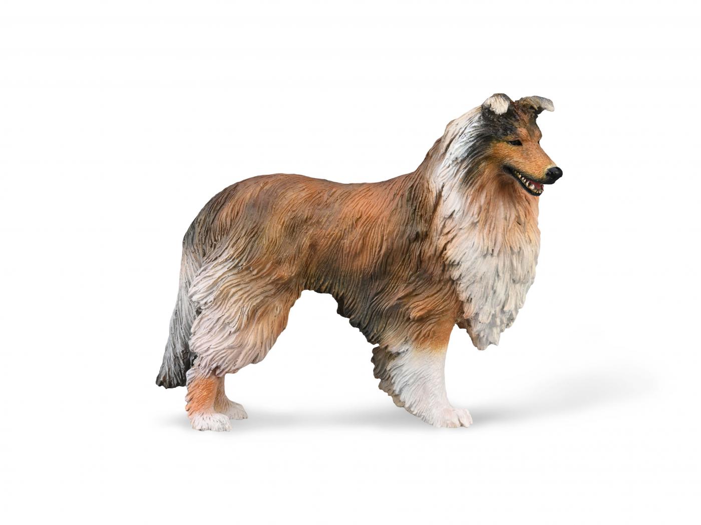 CollectA Dogs Figurines: CollectA Rough Collie 88997