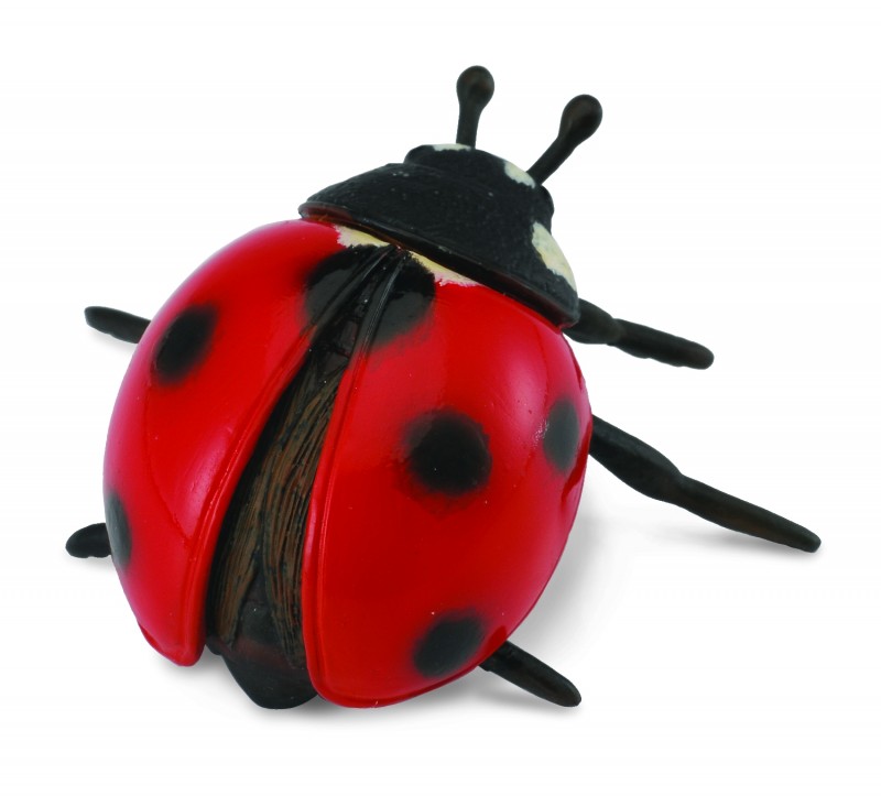 CollectA 88474 ladybug - animal figures at spielzeug-guenstig.de