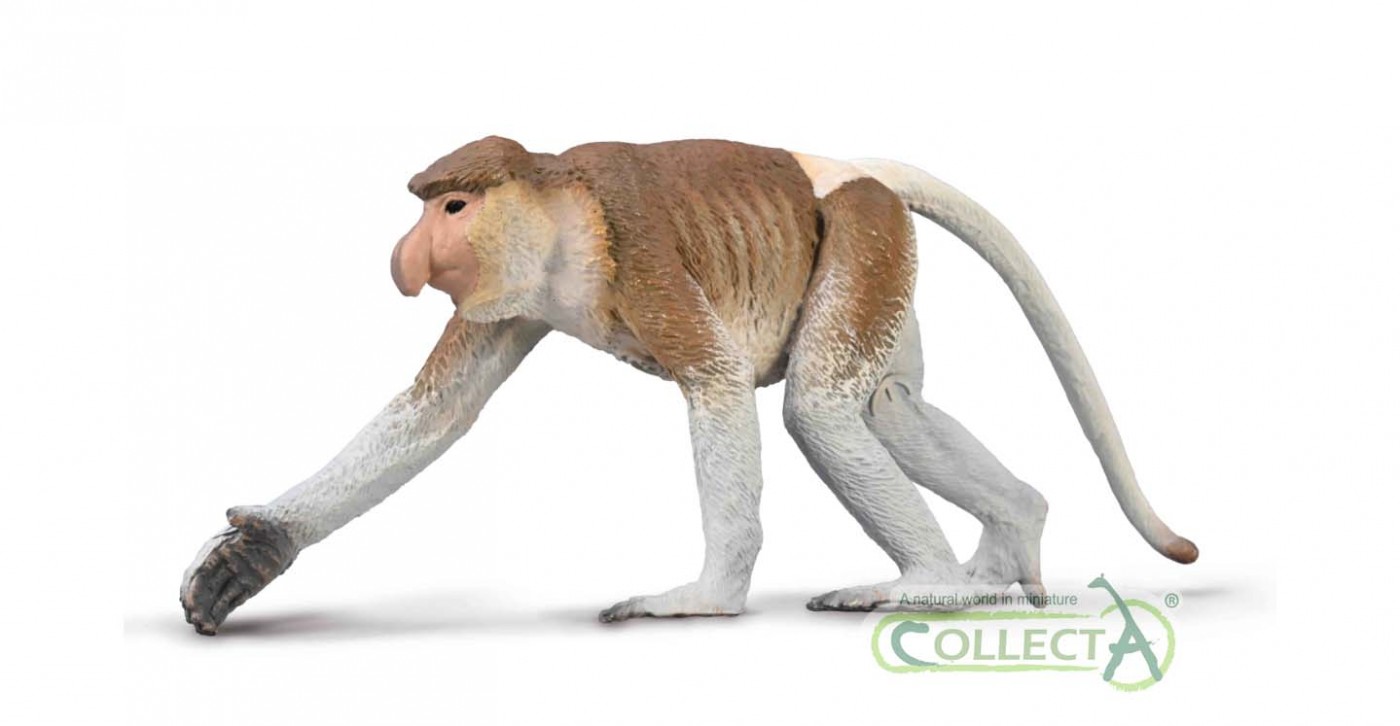 CollectA Wild Life Collection: CollectA proboscis monkey 80014