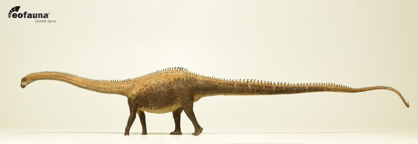 EoFauna Diplodocus carnegii 1:40 eo007