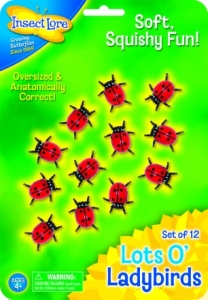 Insect Lore specialized on butterflies and life cycles of insects.