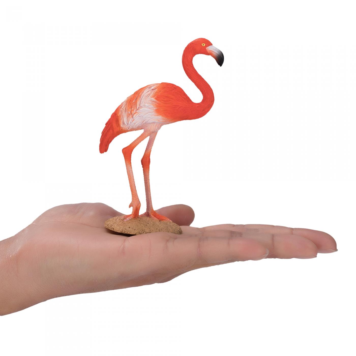 Mojo American Flamingo 387134