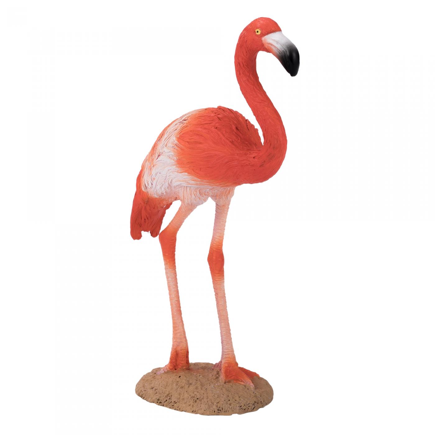 Mojo Amerikanischer Flamingo 387134