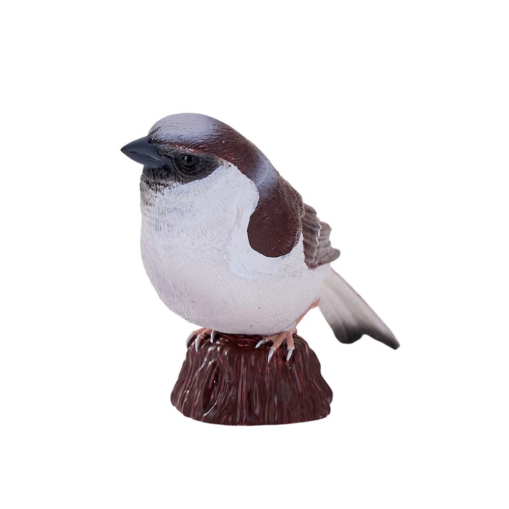 Mojo Birds House Sparrow