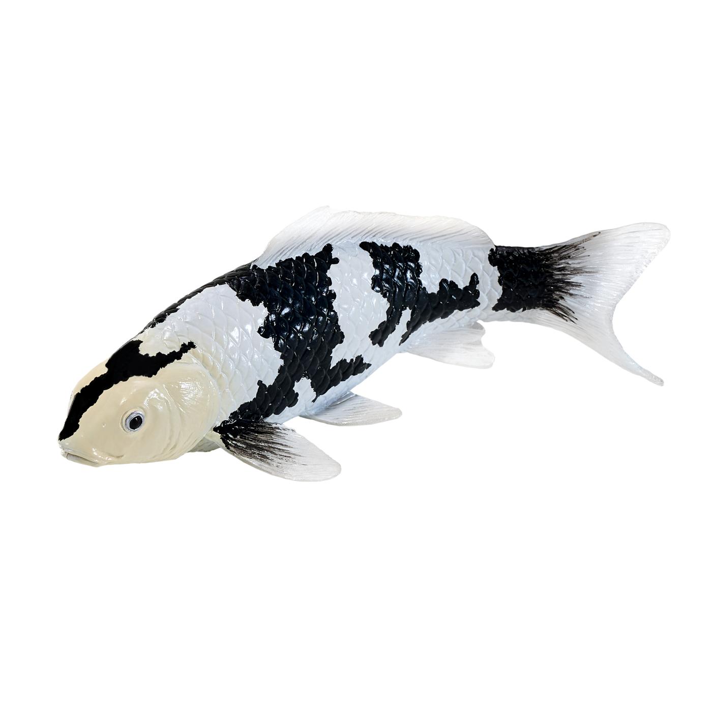 Mojo Koi Carp - Shiro Utsuri Koi (Black White)