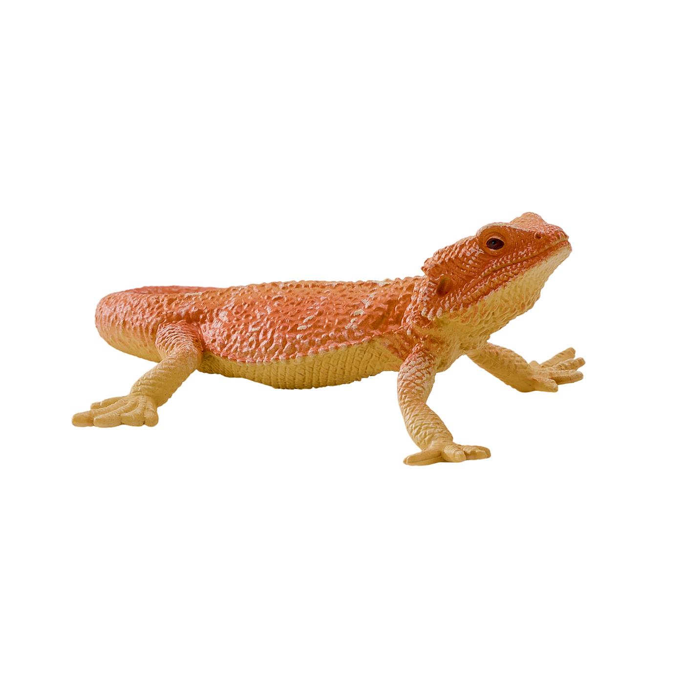 Mojo Wildlife Bartagame