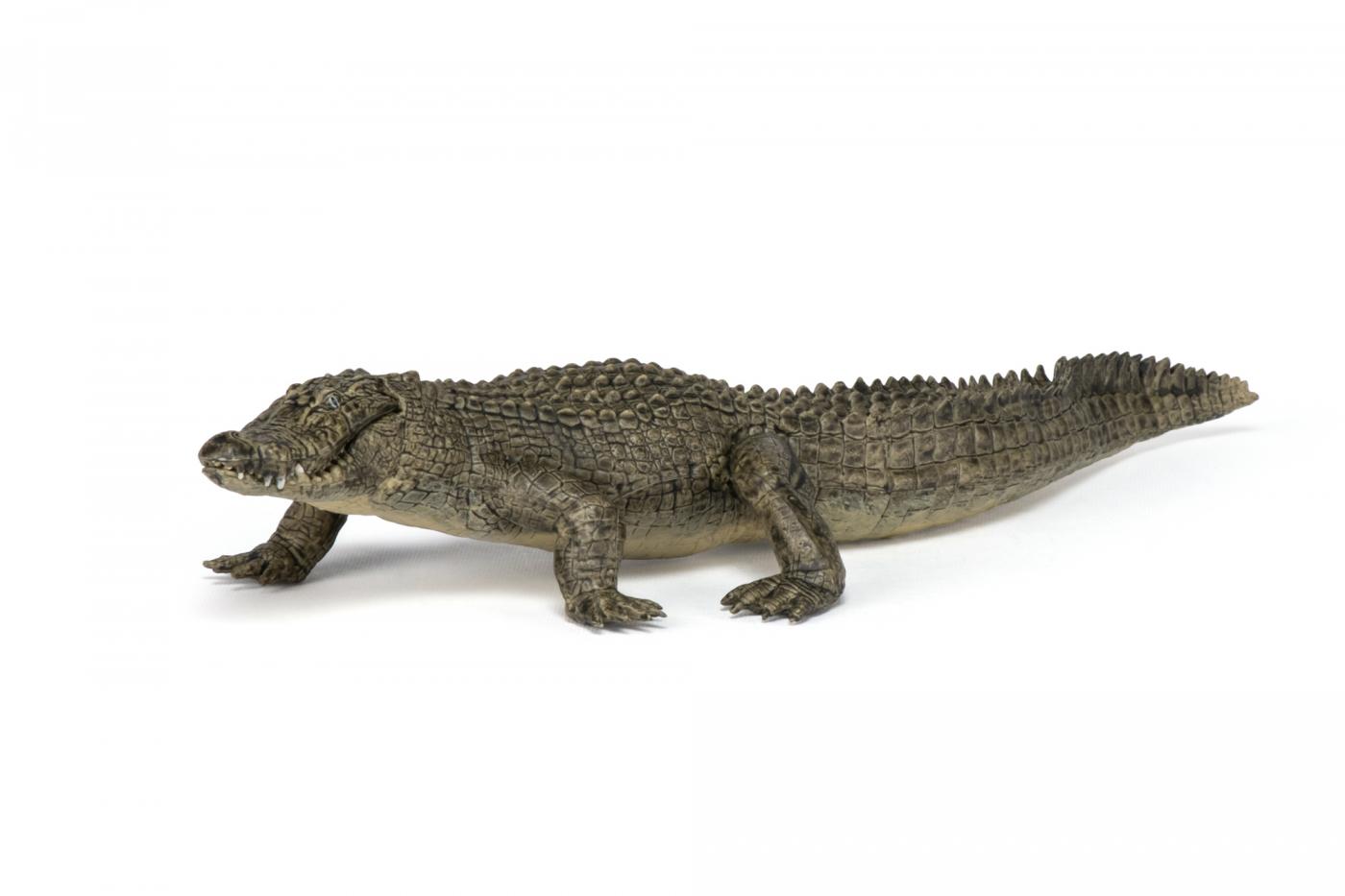 Papo Wildtiere der Erde: Papo Alligator 50254