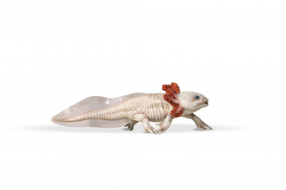 Papo Marine Creatures: Papo Axolotl figure 56066