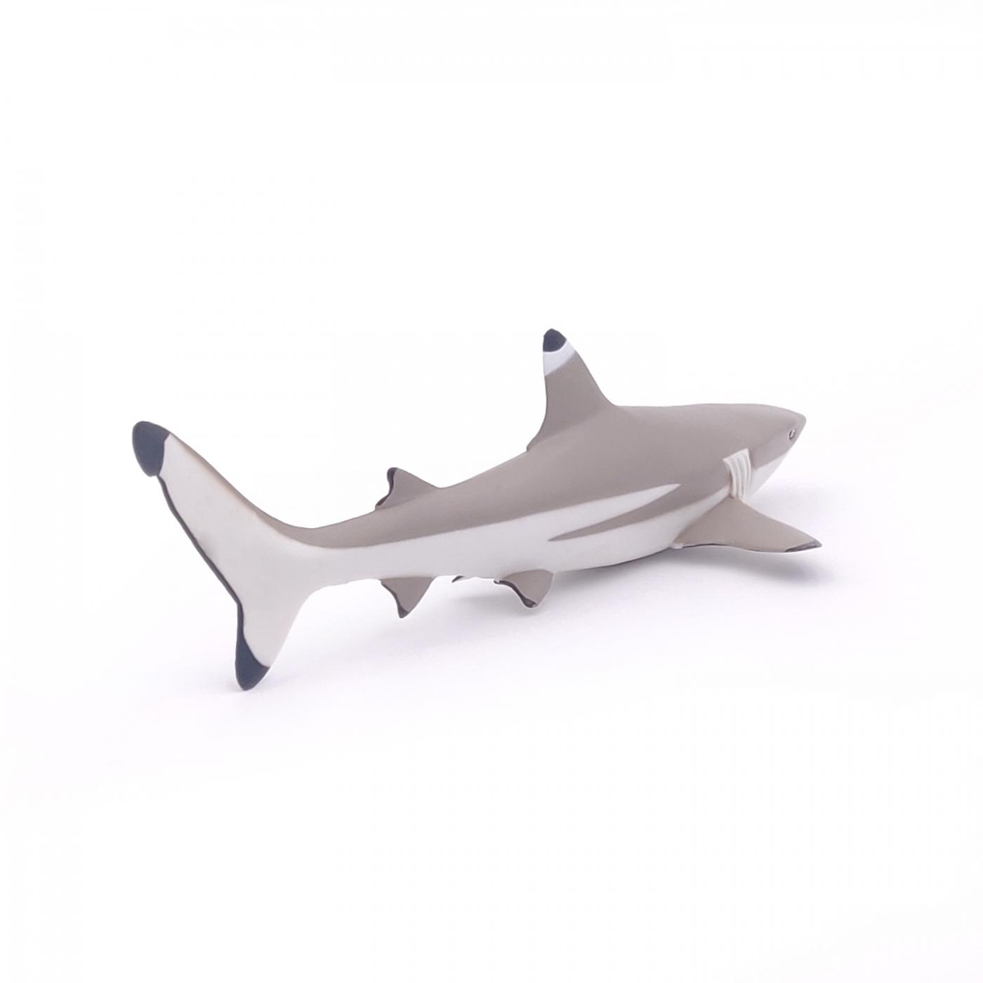 Papo Marine Life: Papo Blacktip reef shark 56034