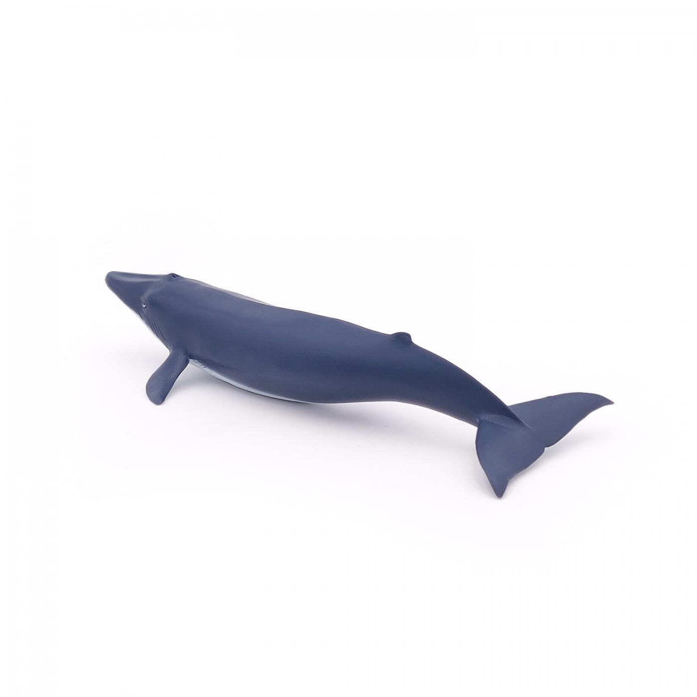 Papo Marine Life: Papo Blue Whale Calf 56041
