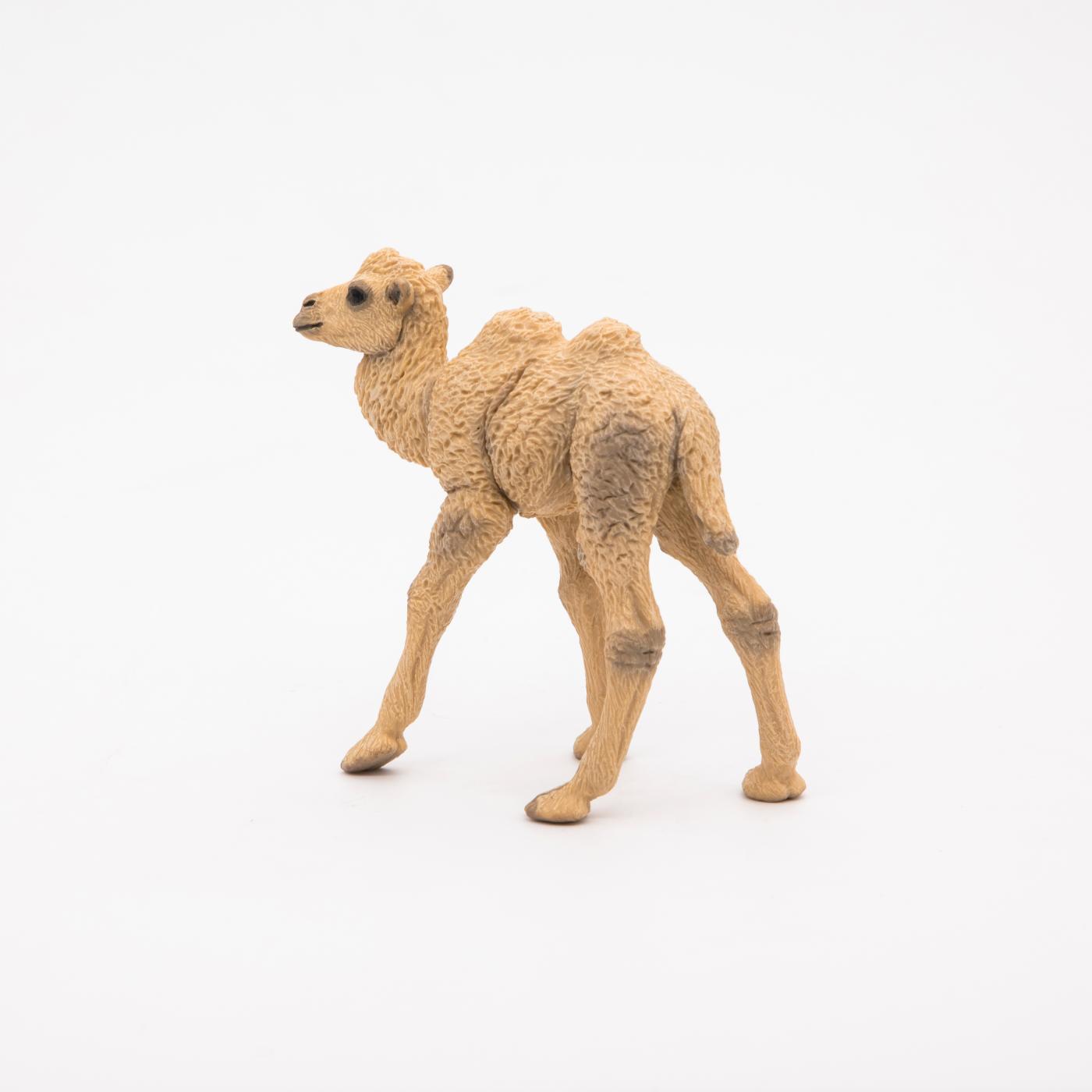 Papo Wild Animal Kingdom: Papo Camel cub 50221
