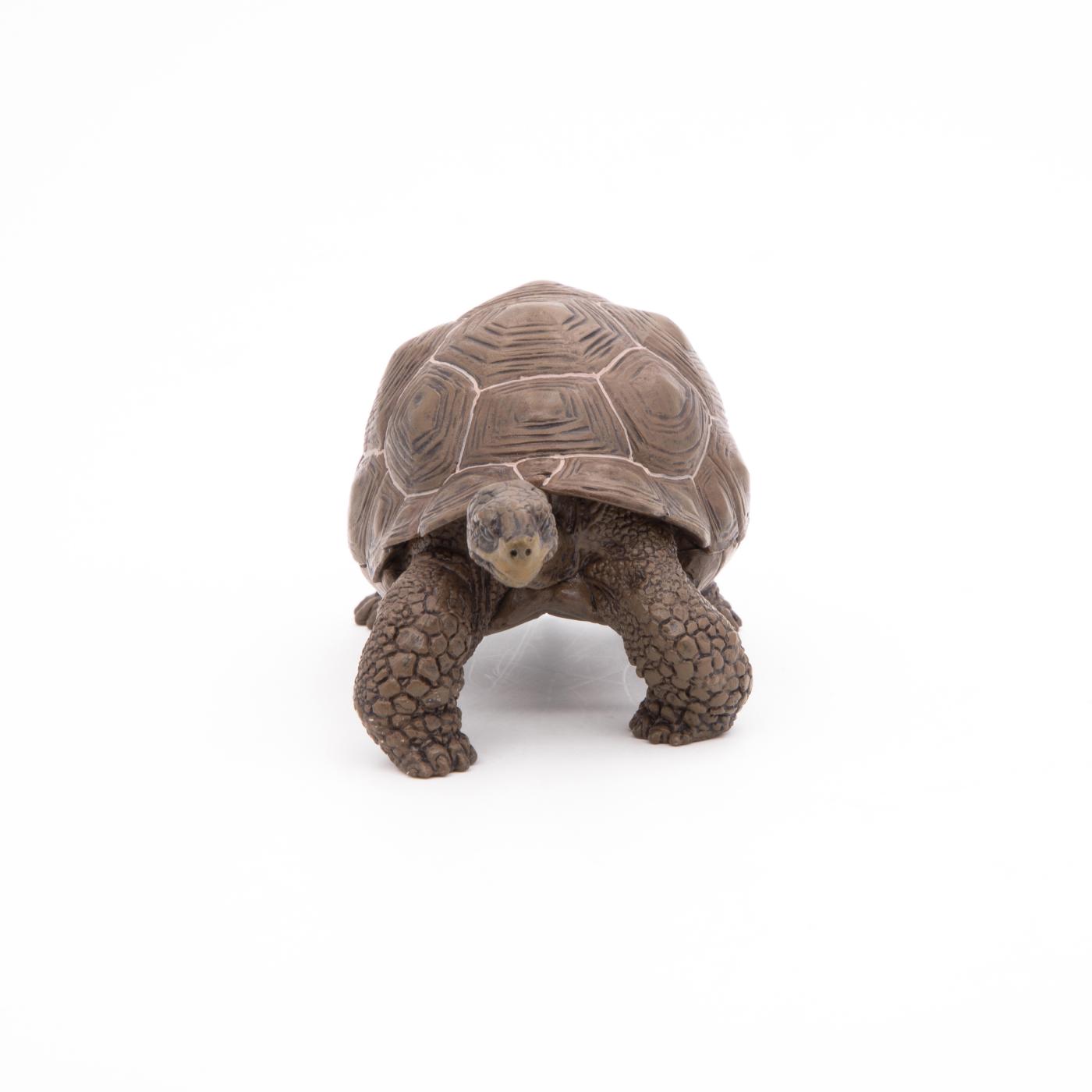 Papo 50161 Galapagos-Riesenschildkröte - Tierfiguren bei spielzeug ...