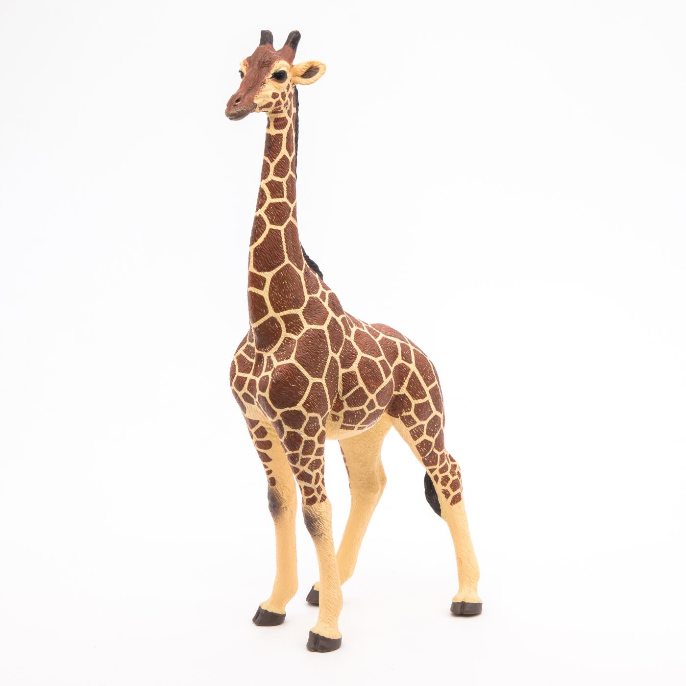 Papo 50149 Giraffe males - animal figures at spielzeug-guenstig.de