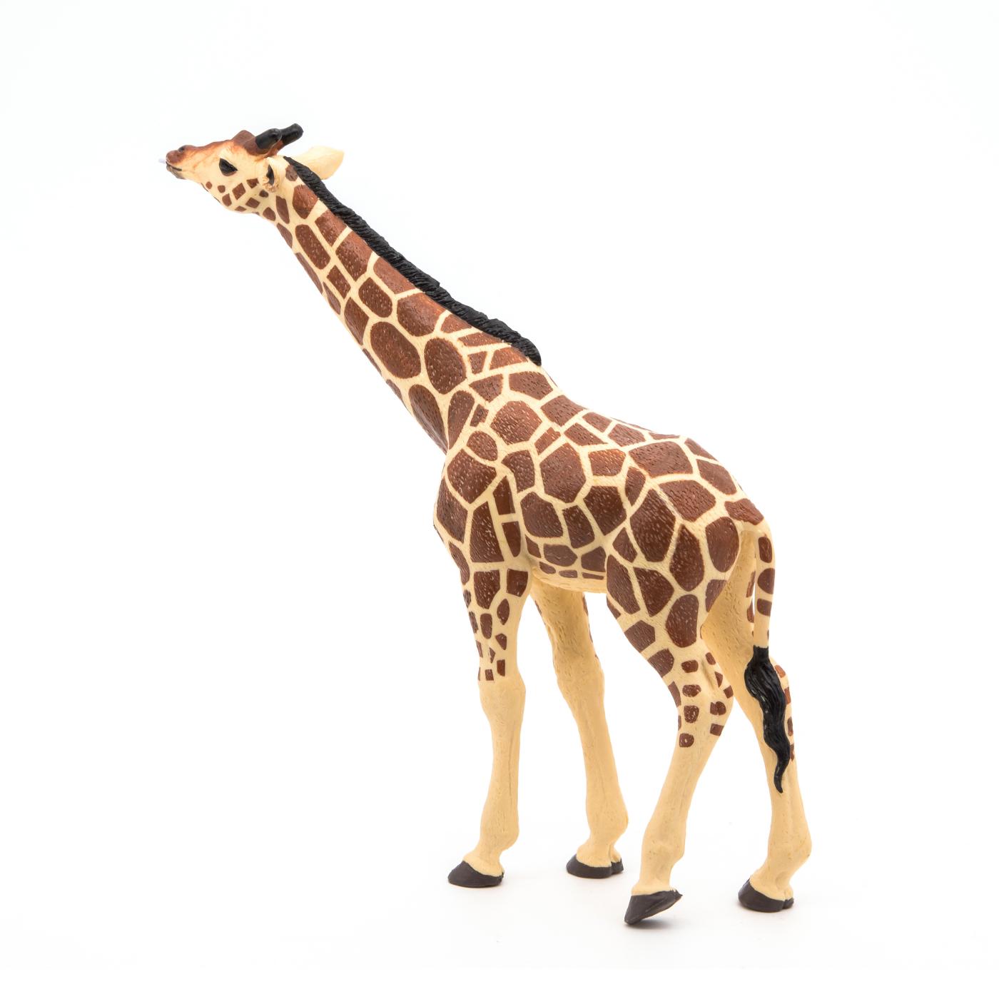 Papo Wild Animal Kingdom: Papo Giraffe with raised head 50236