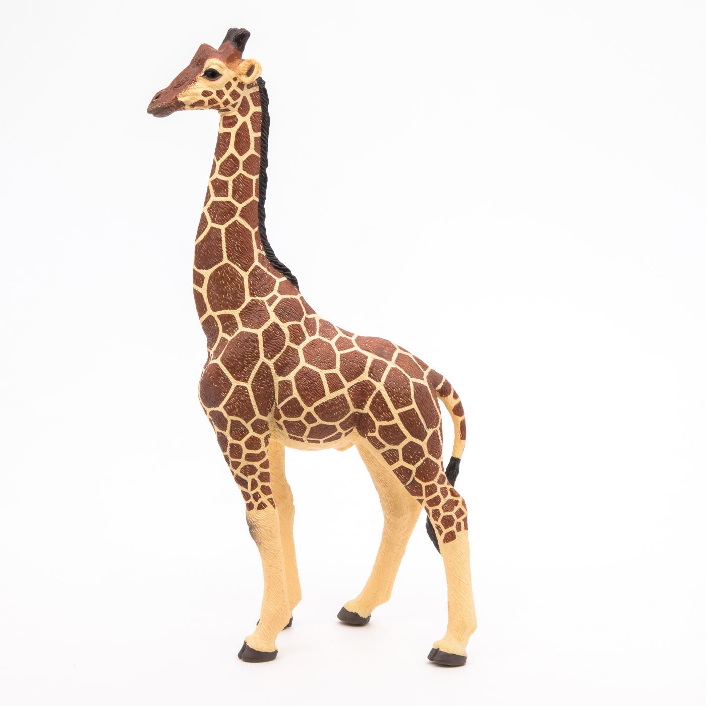 Papo 50149 Giraffenmännchen - Tierfiguren - Figuren bei spielzeug ...