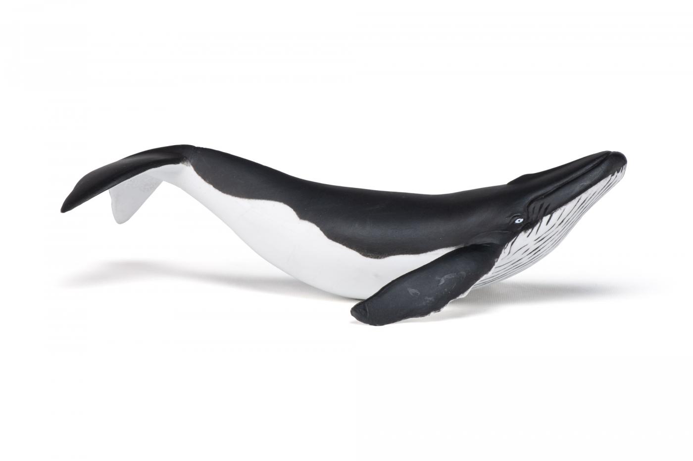 Papo Marine Life: Papo Humpback whale calf 56035